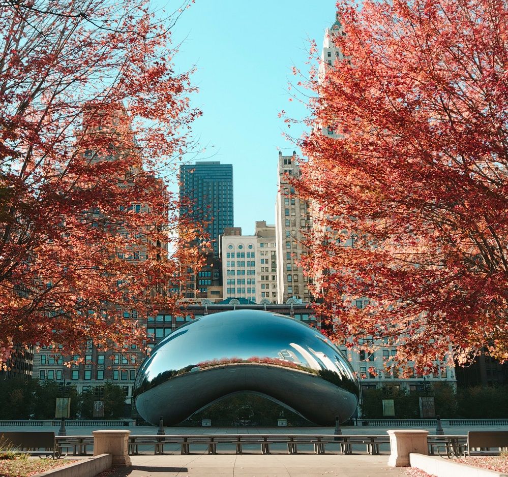 11 Green and Sustainable Good Food Places in Chicago, IL