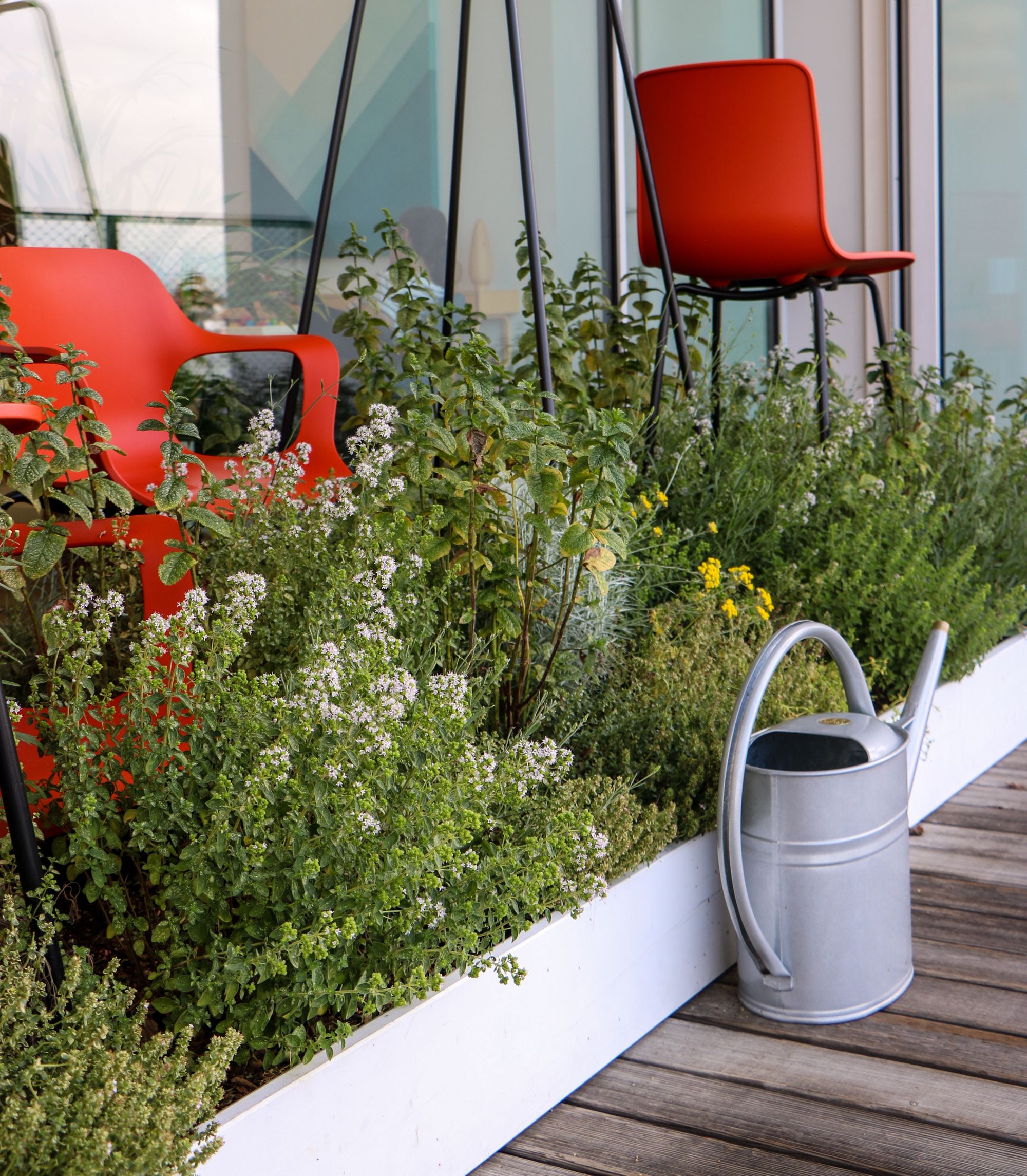 Balcony Garden Checklist